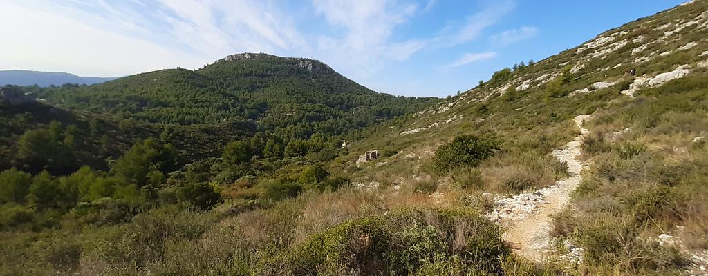 Pour échapper au COVID, profitez du grand air ! - Toutes les actualités ...
